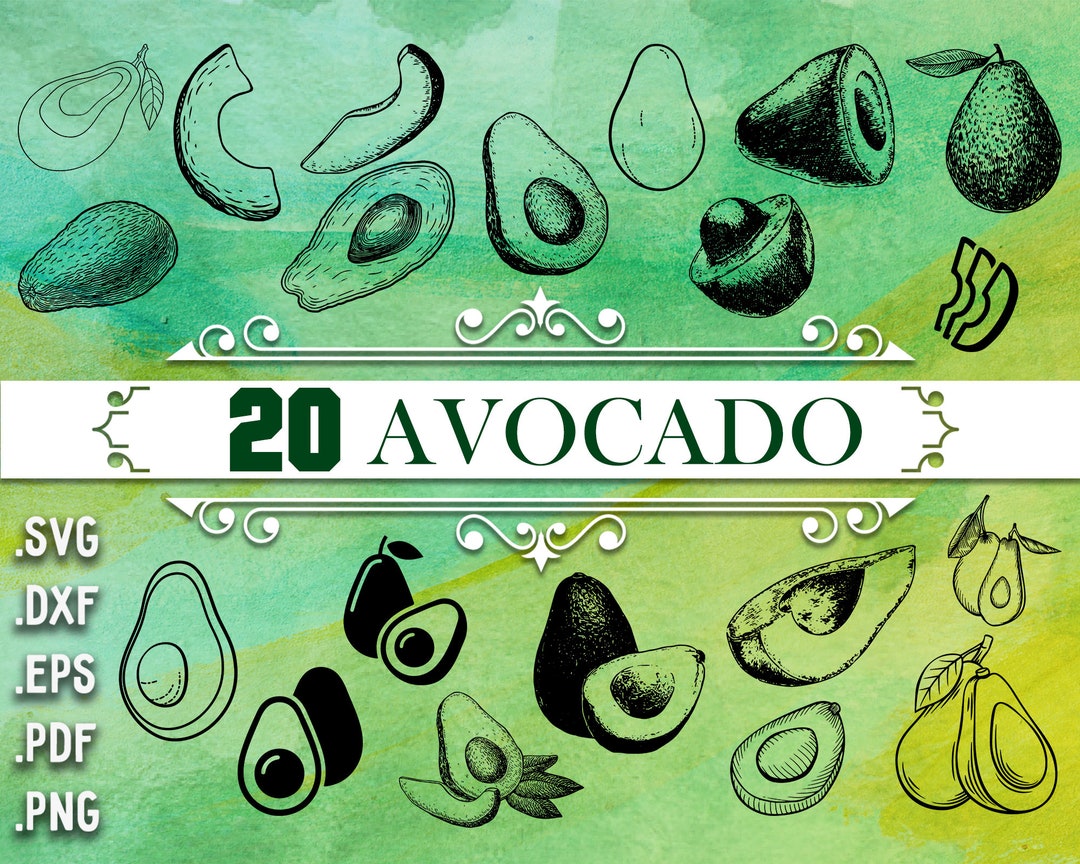 AVOCADO SVG, Avocado Clipart, Avocado, Avocado Cut File, Avocado Clip ...