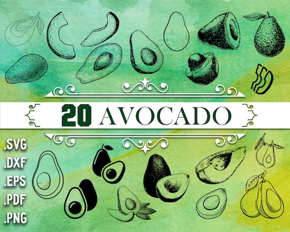 AGUACATE SVG imágenes prediseñadas de aguacate aguacate - Etsy México