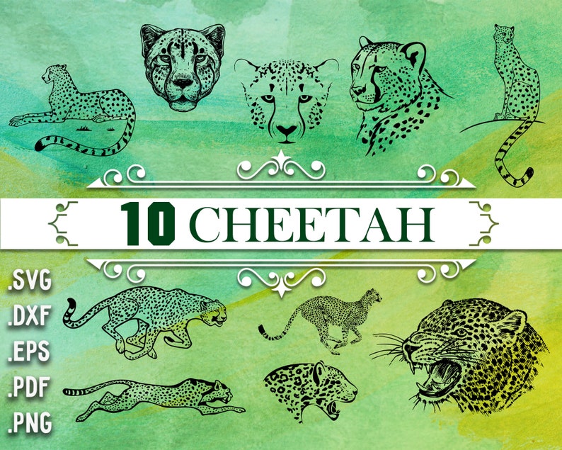 CHEETAH SVG, Svg, Cheetah, Cheetah Clipart, Cheetah Print, Cheetah ...