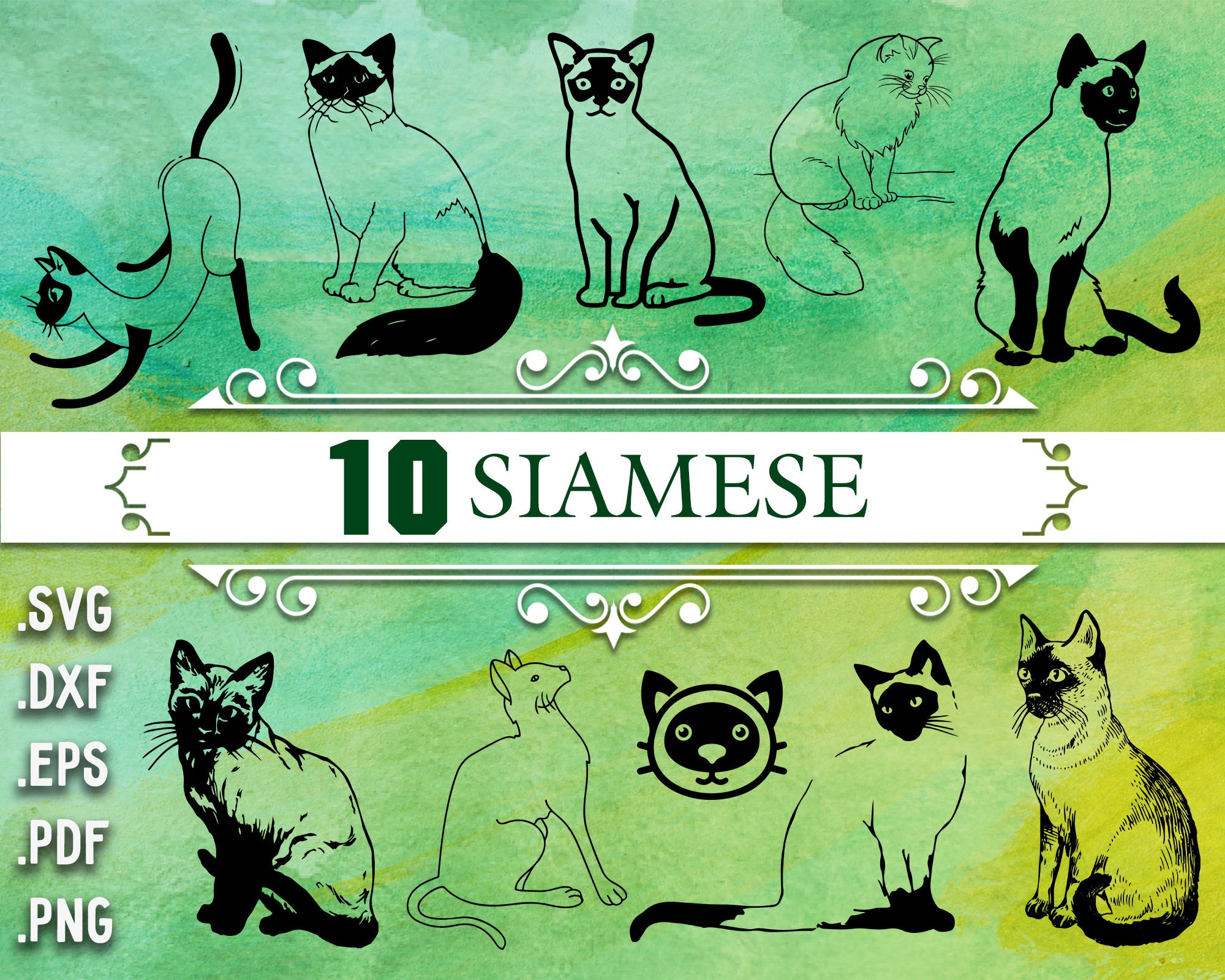 SIAMESE SVG, Siamese Cat Svg, Siamese Cat, Siamese Cat Clipart, Cute ...