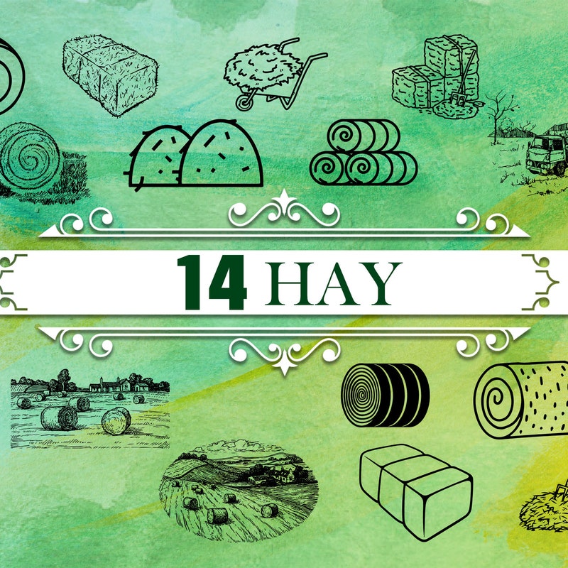 Hay Svg - Etsy