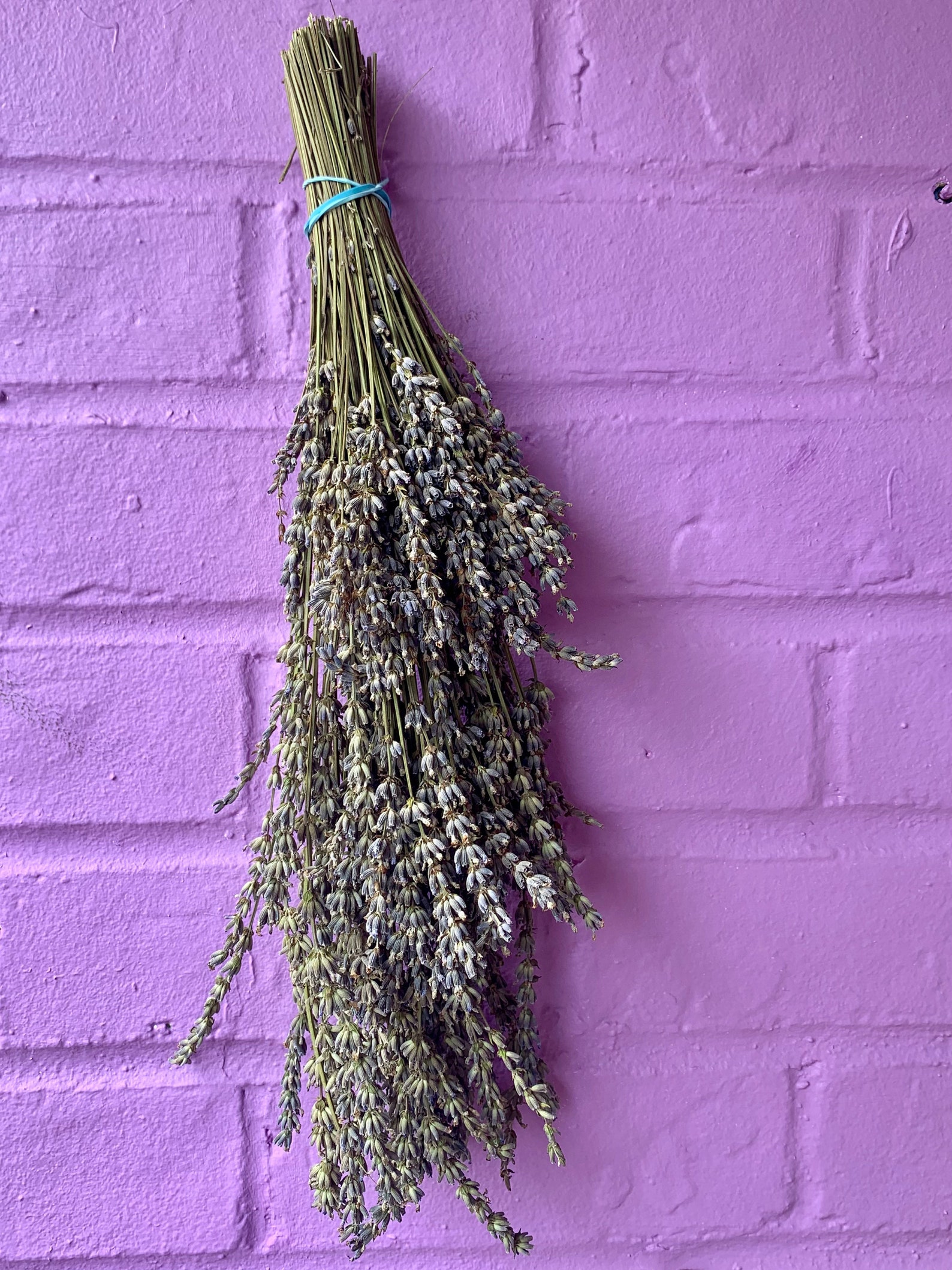Lavender Bunch – Dried Lavender Bundle – Dried Lavender Bouquets ...