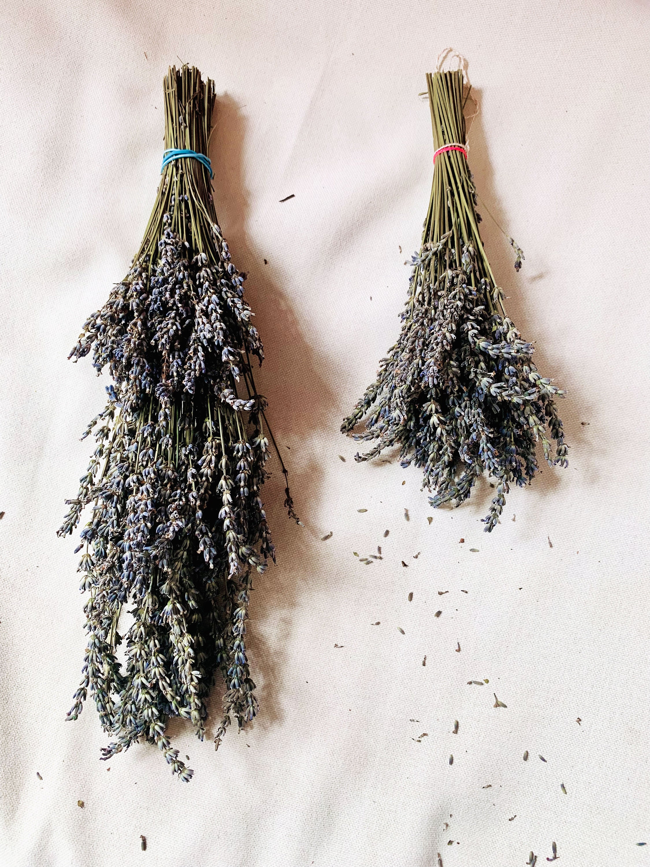Lavender Bunch – Dried Lavender Bundle – Dried Lavender Bouquets ...