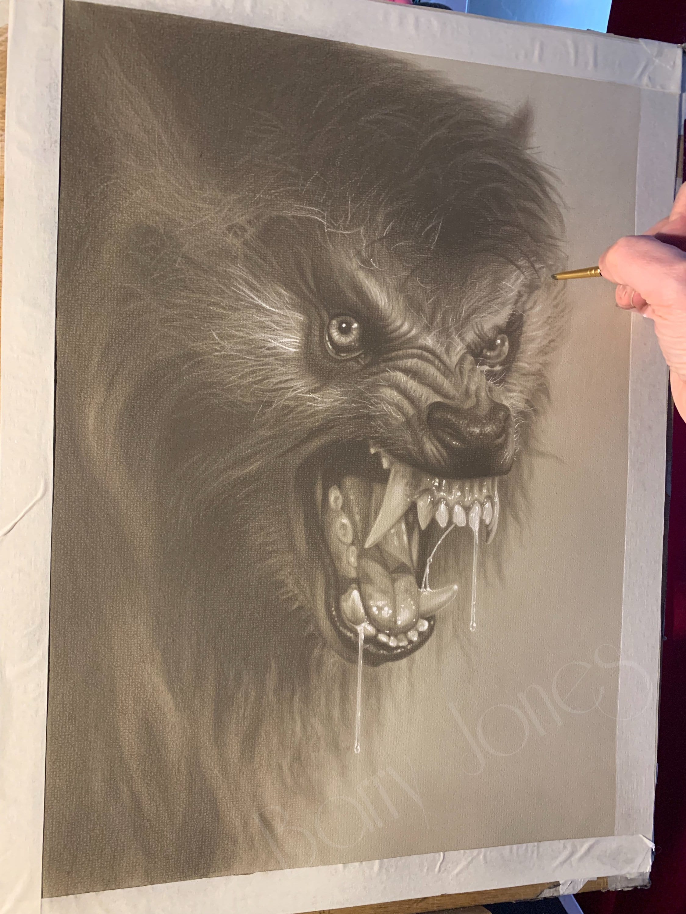 Werewolf Sketches Drawings