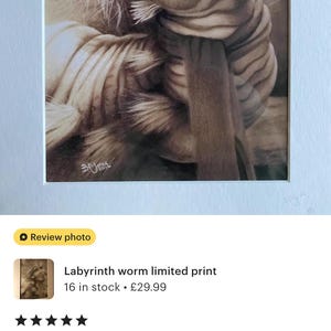 Labyrinth Worm Limited Print - Etsy