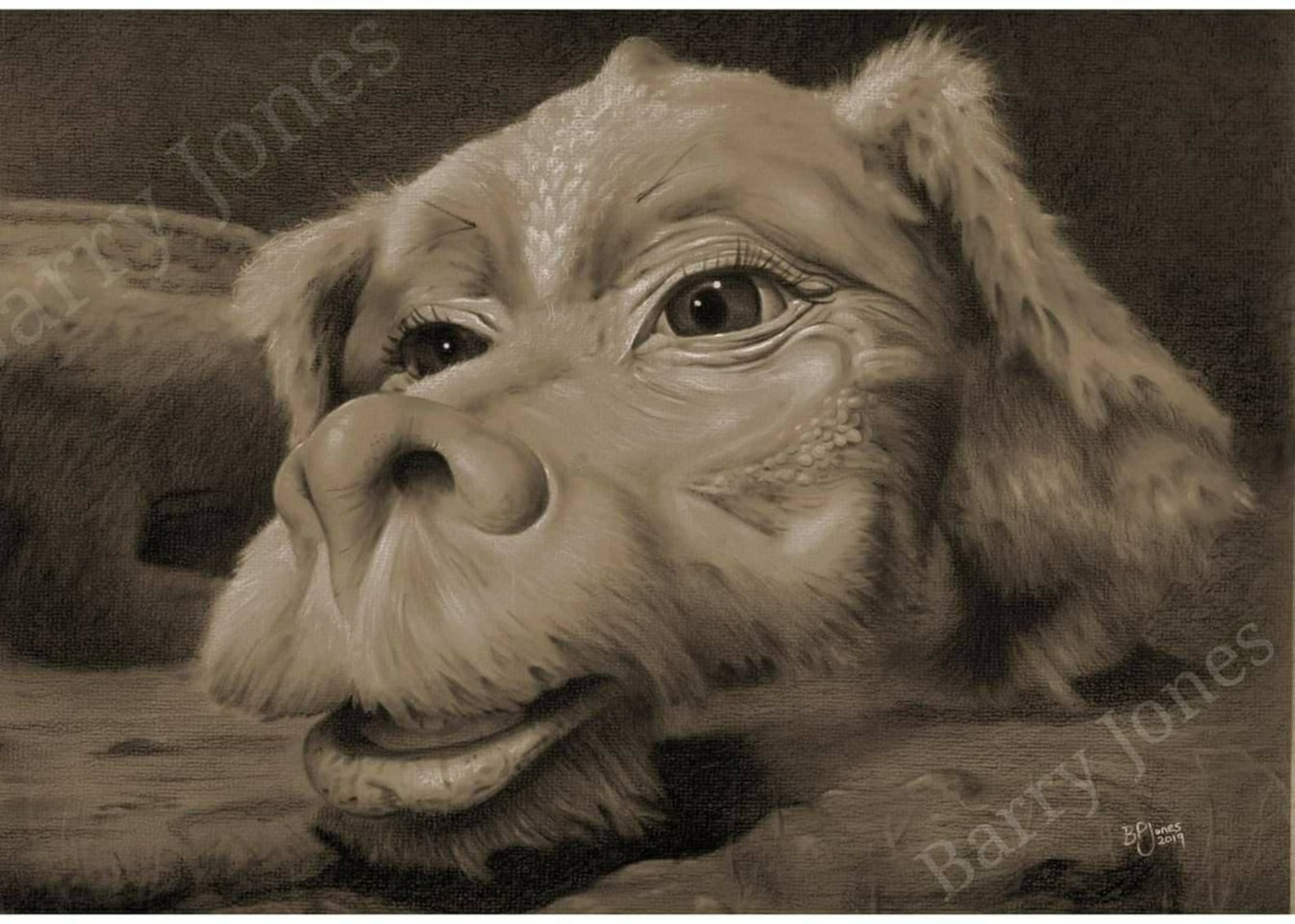 Neverending Story Falkor Limited Print | Etsy