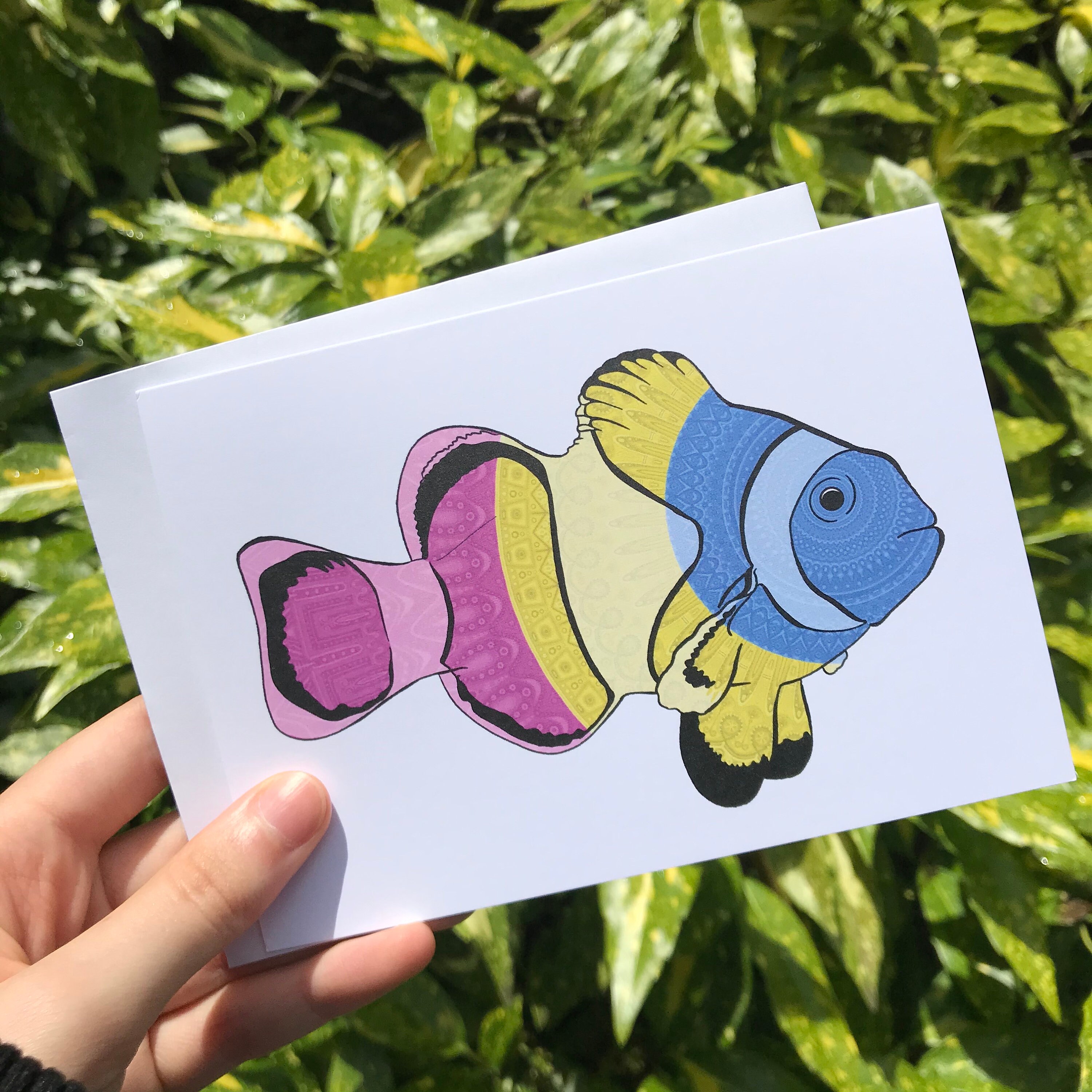 LGBT Pride Card Clownfish Asexual Pride Bisexual Flag - Etsy