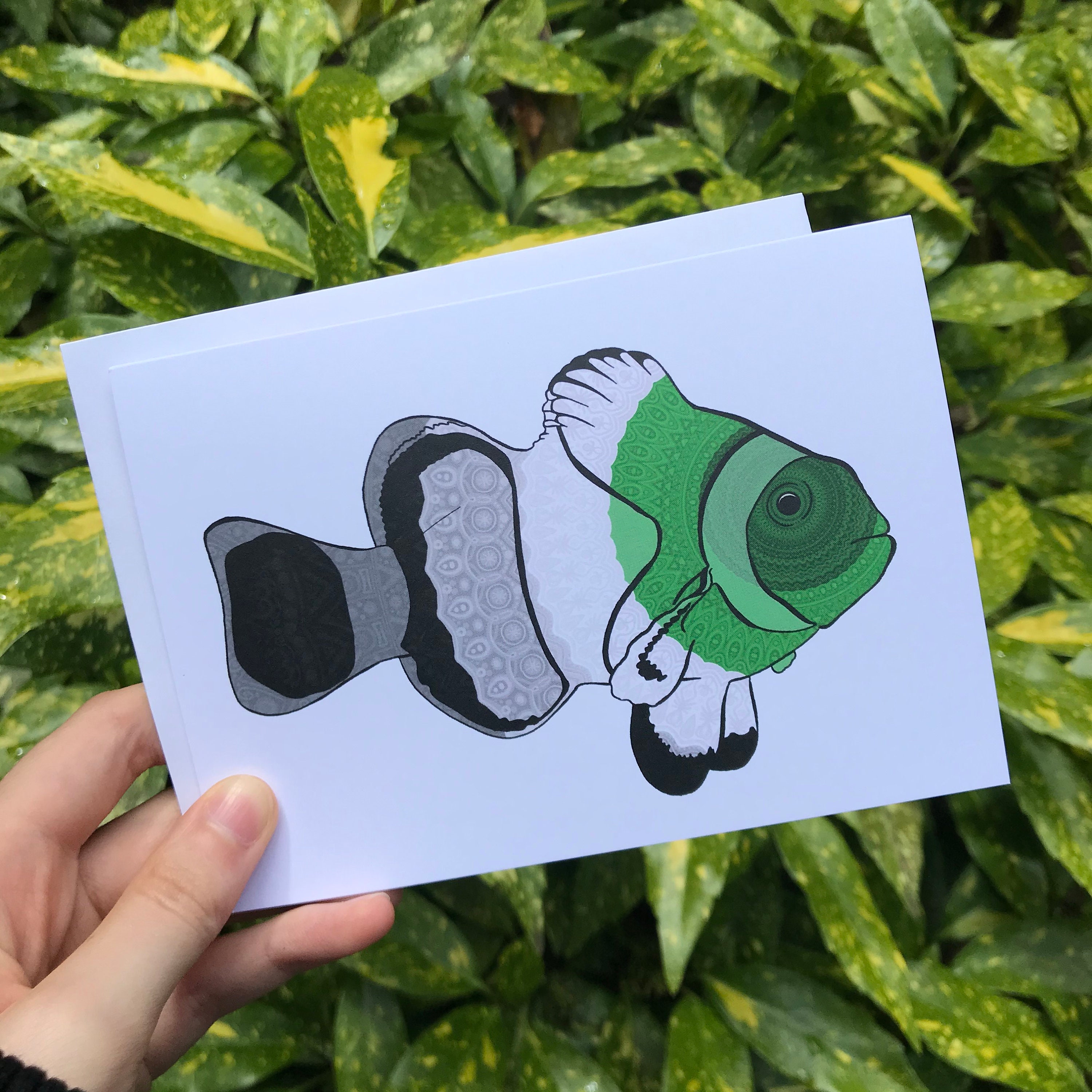 LGBT Pride Card Clownfish Asexual Pride Bisexual Flag - Etsy