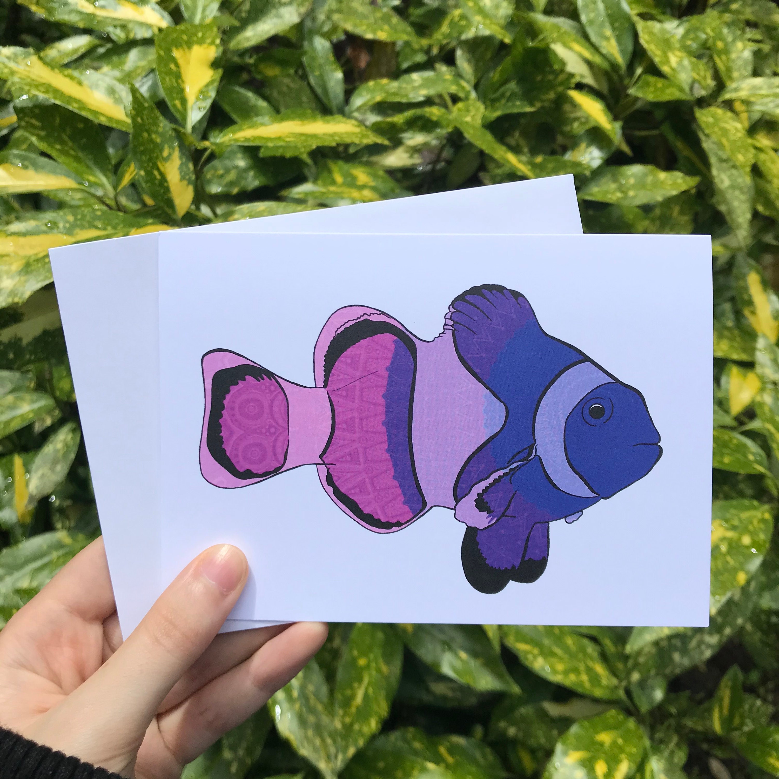 LGBT Pride Card Clownfish Asexual Pride Bisexual Flag - Etsy