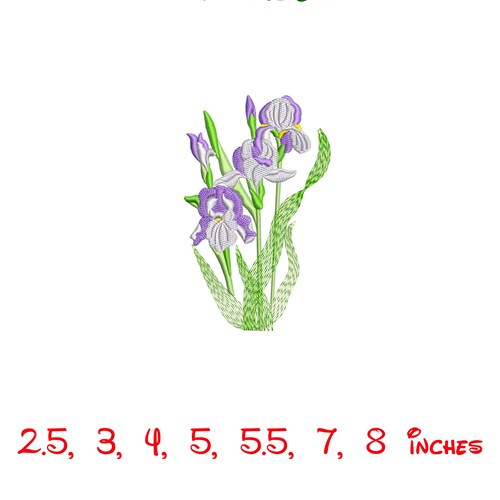 Iris Flower Blooming Iris Embroidery Design Files - Etsy