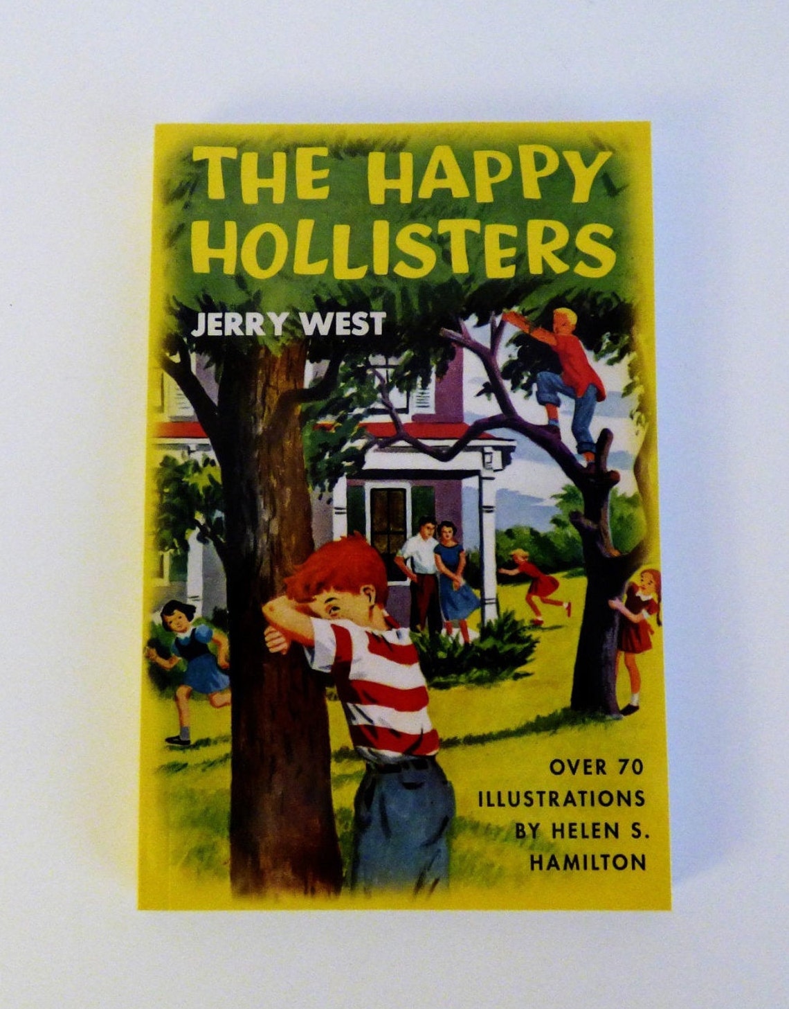 The Happy Hollisters: 10-book Terrific Reader Set save 25% - Etsy