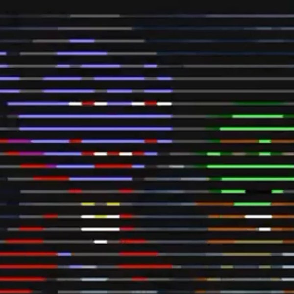 Light O Rama 24x50 Pixel Matrix - Etsy