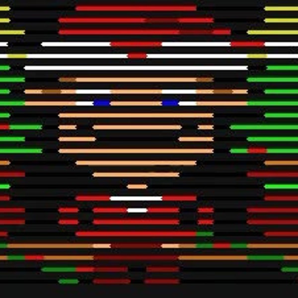 Light O Rama 24x50 Pixel Matrix - Etsy