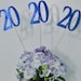 Birthday Centerpieces, 20th Anniversary, 20th Celebration, 20th ...