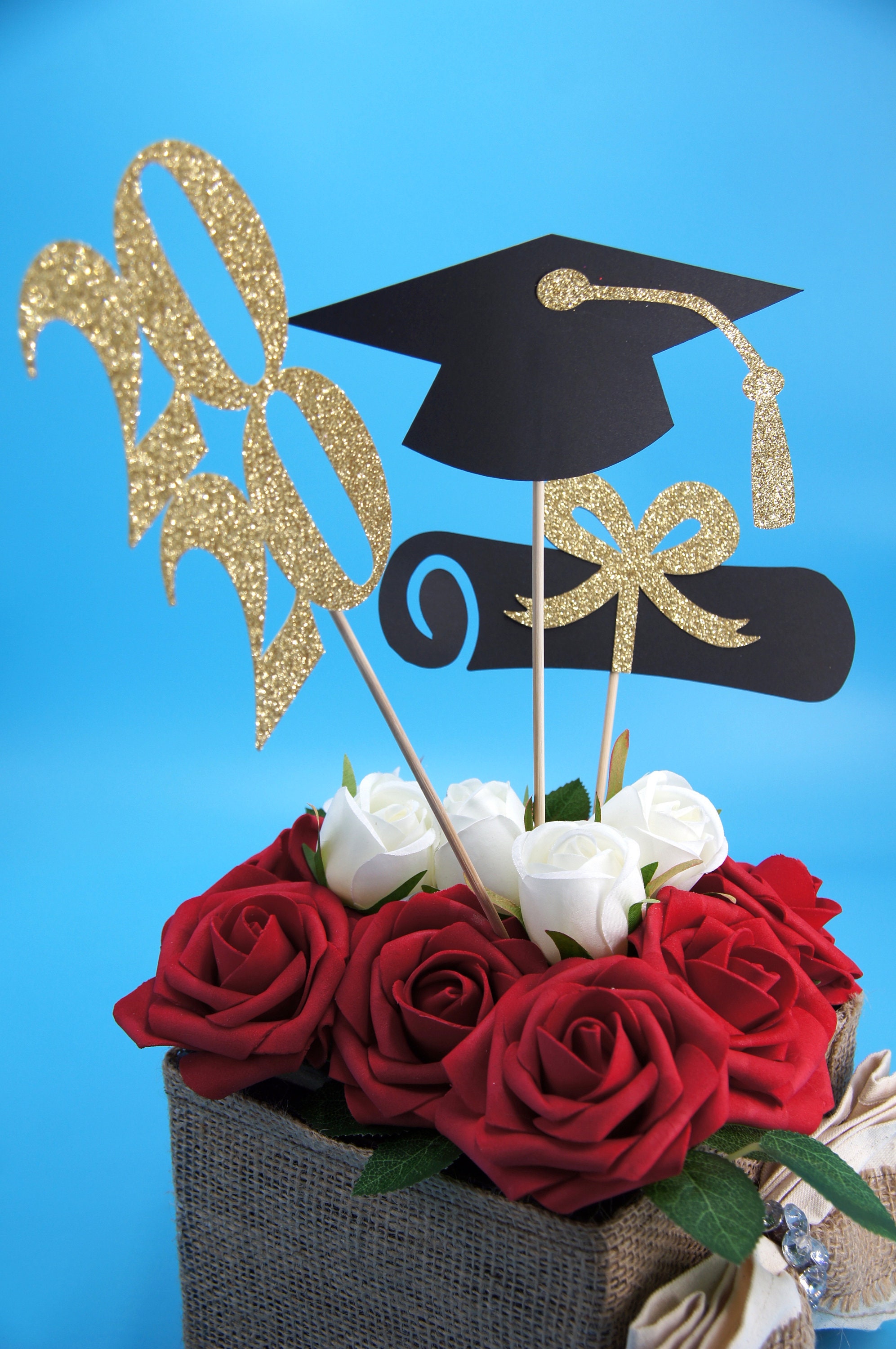 Graduation Party Decoration2020 Graduation - Etsy