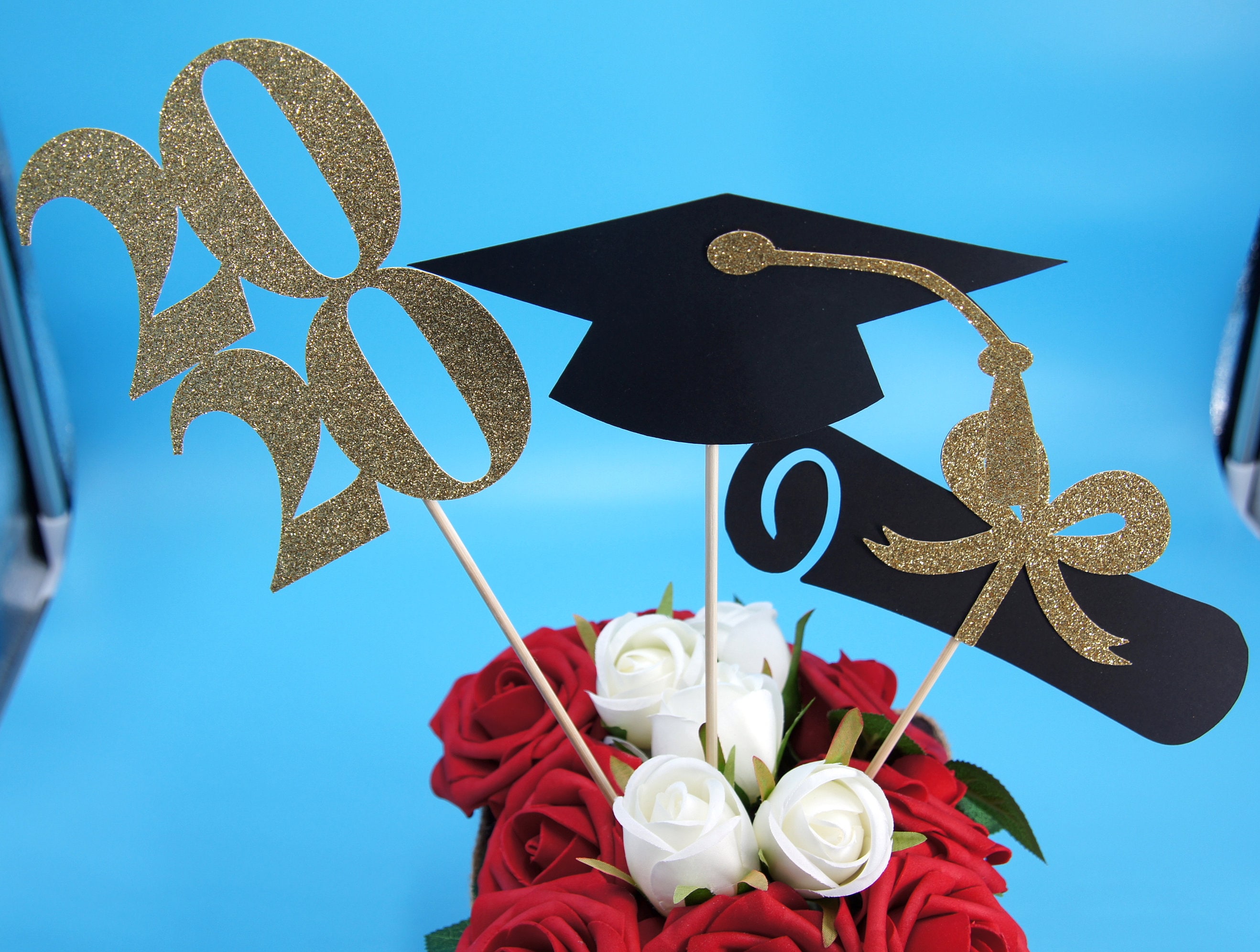 Graduation Party Decoration2020 Graduation - Etsy
