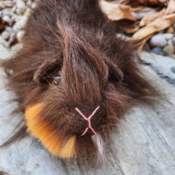 Stuffed Guinea Pig - Etsy