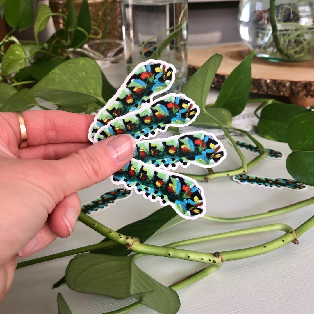 Caterpillar Vinyl Sticker - Etsy