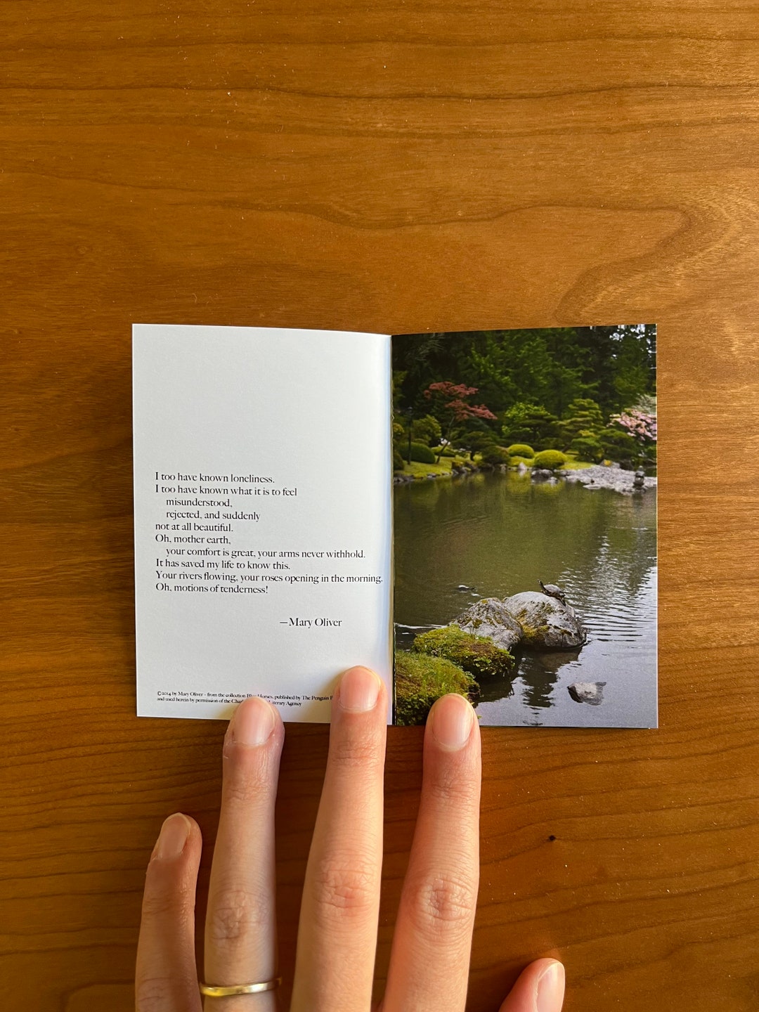 The Green Zine Nature Photography Zine - Etsy