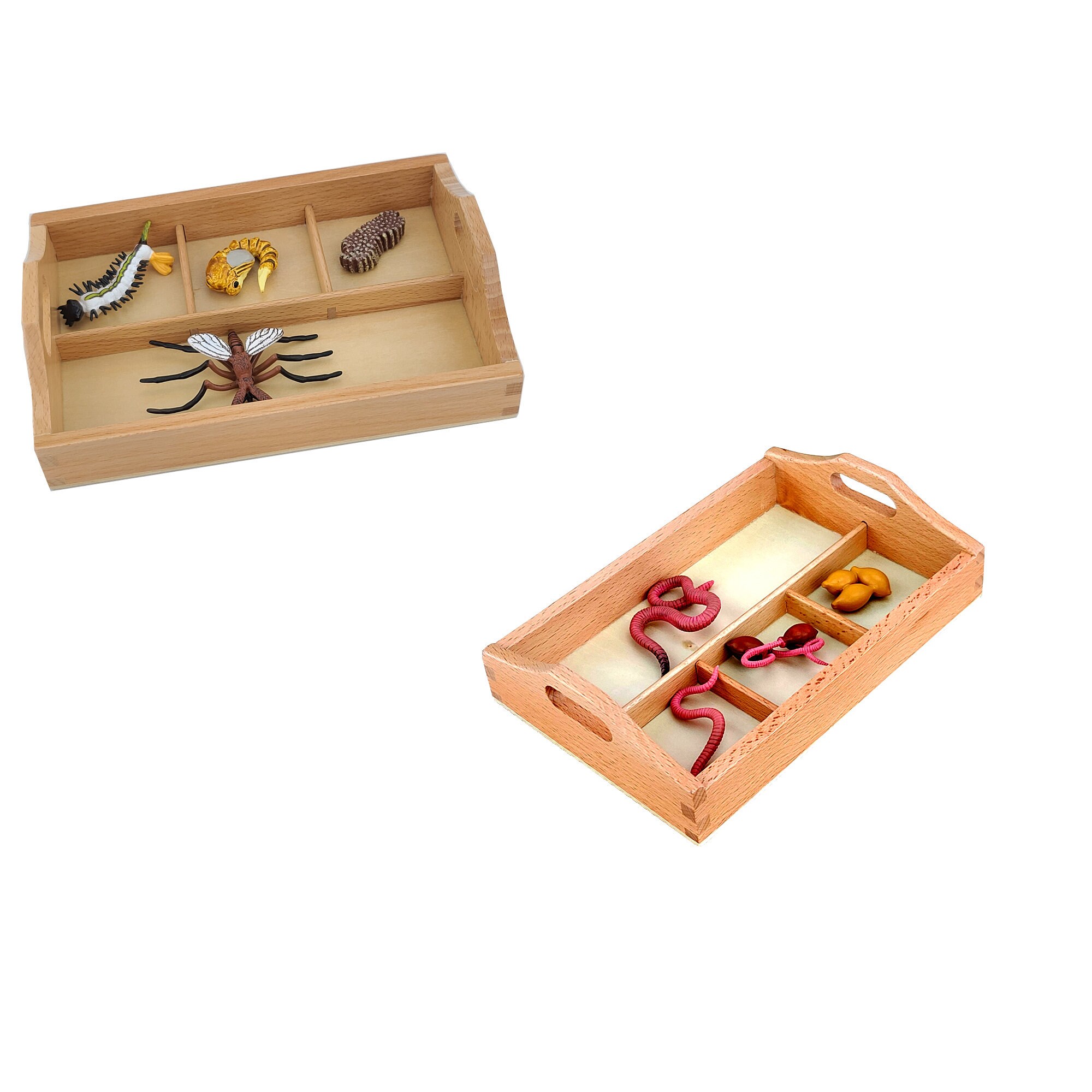 Language Object Matching Wooden Tray Sorting Tray IFIT Montessori ...