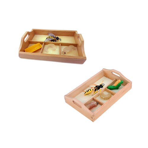 Language Object Matching Wooden Tray Sorting Tray IFIT Montessori ...