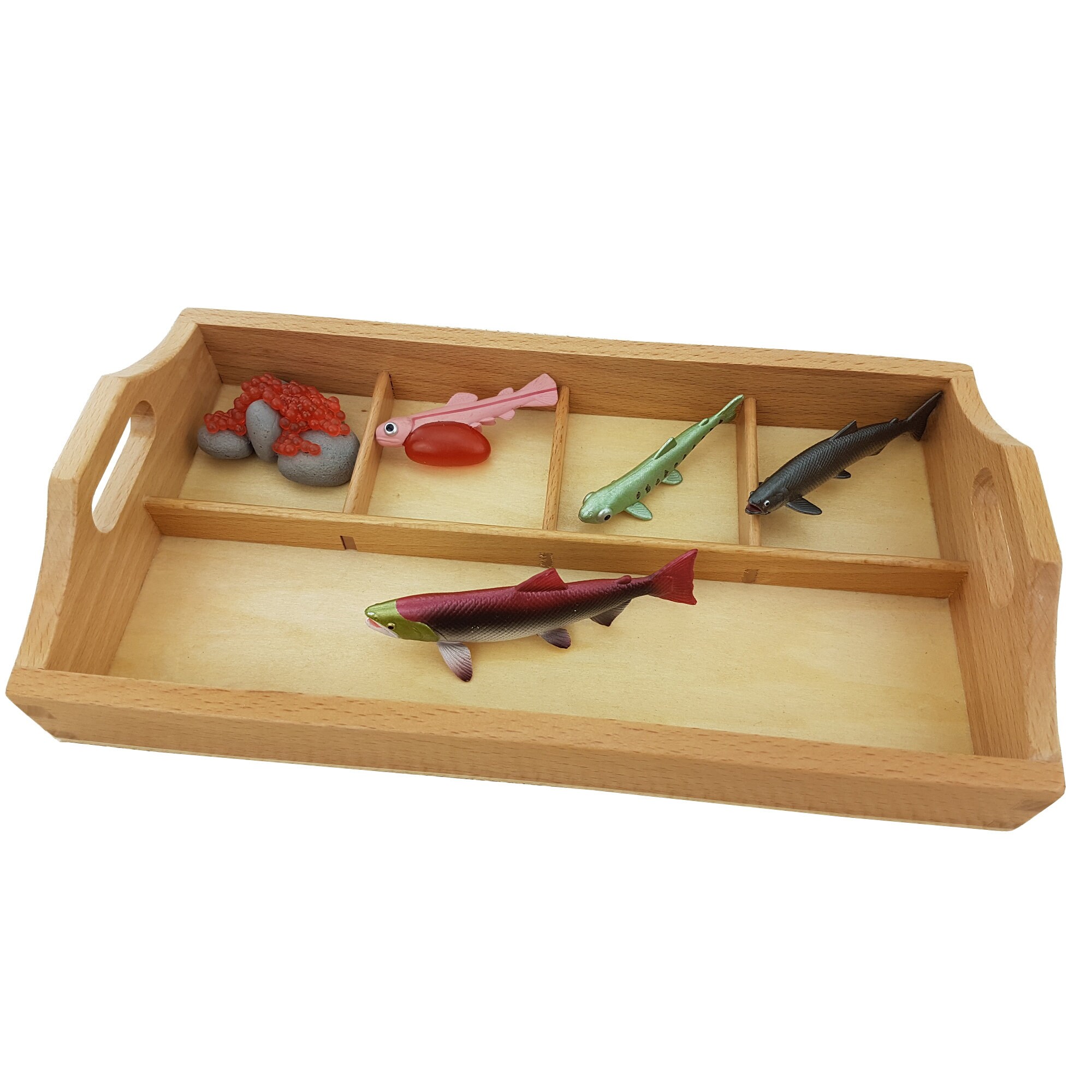 Language Object Matching Wooden Tray Sorting Tray IFIT Montessori ...