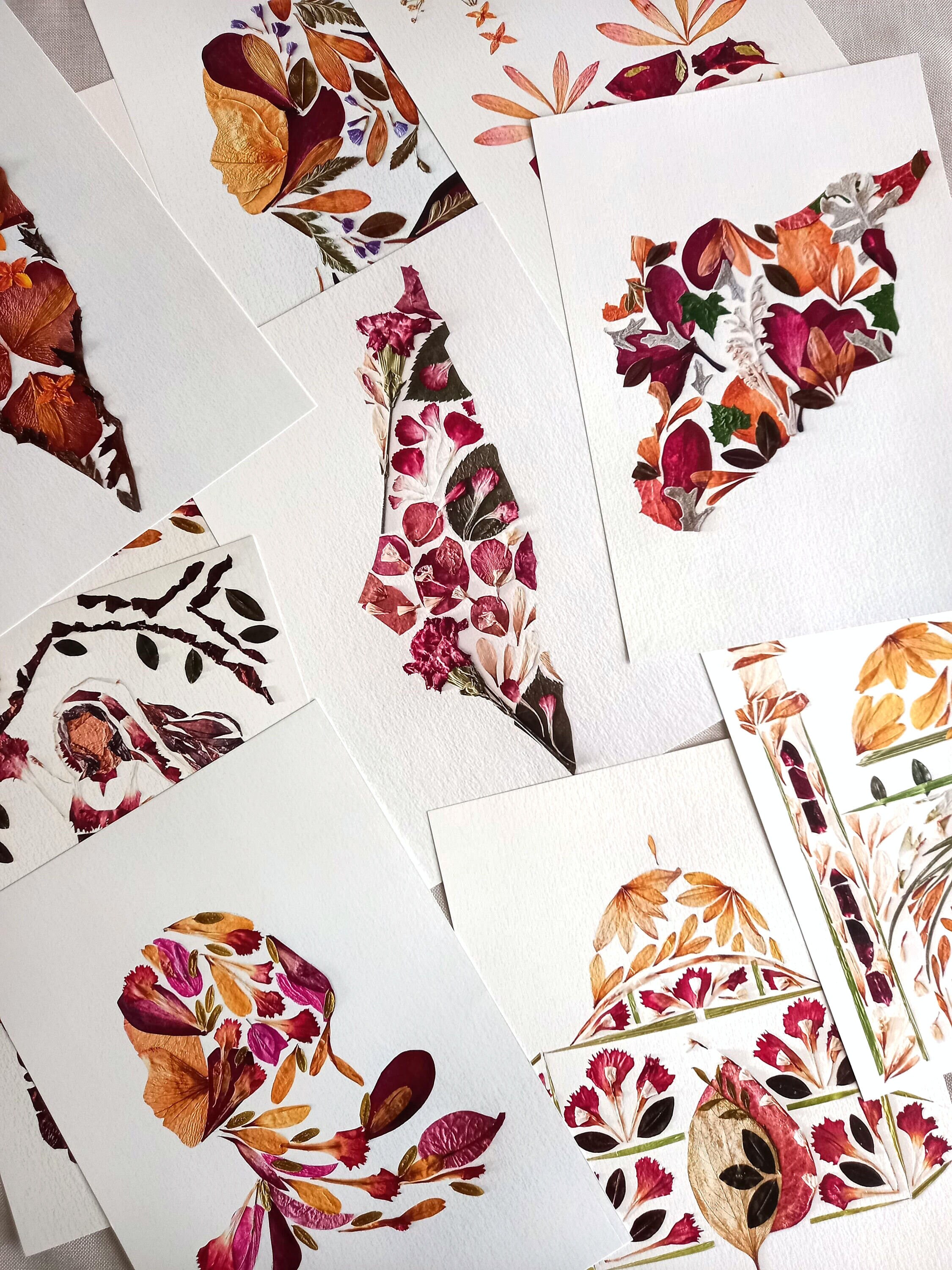 Digital Download. Pressed Flower Art. A4. Carnation. Map of Palestine ...