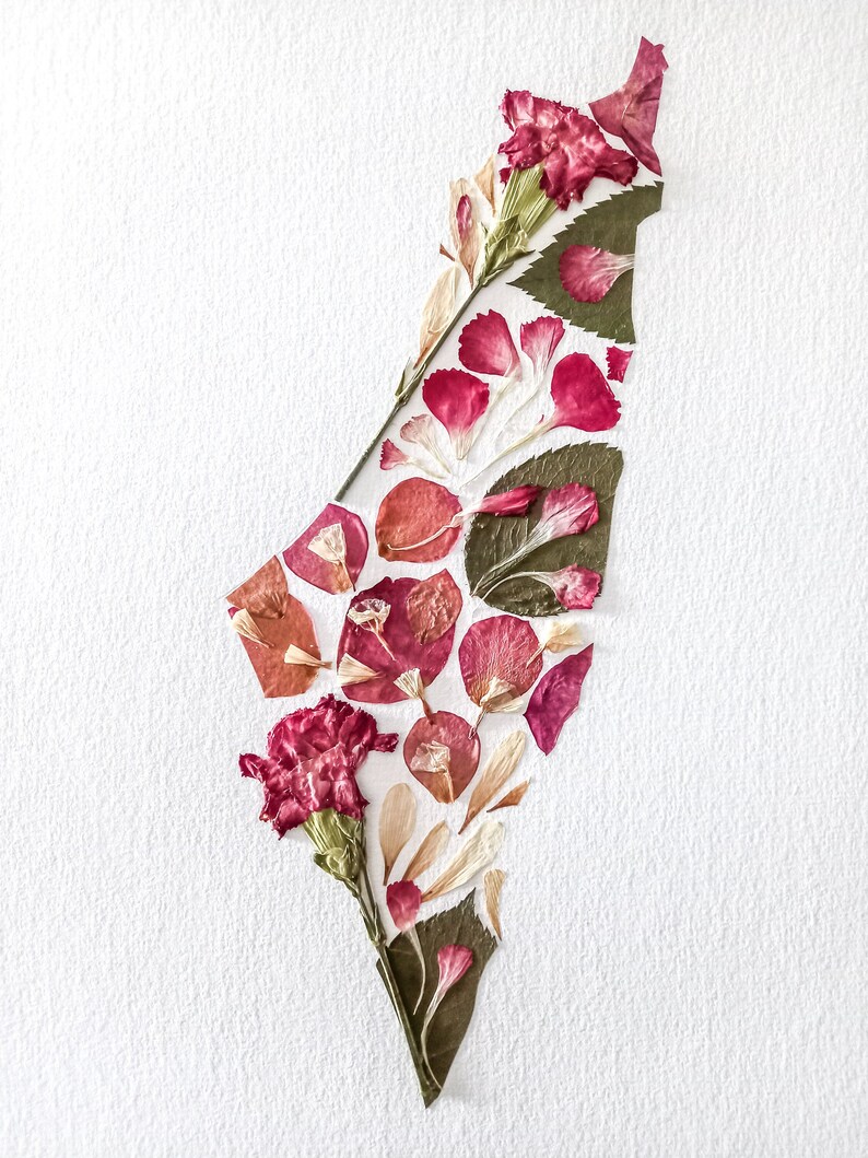 Digital Download. Pressed Flower Art. A4. Carnation. Map of Palestine ...