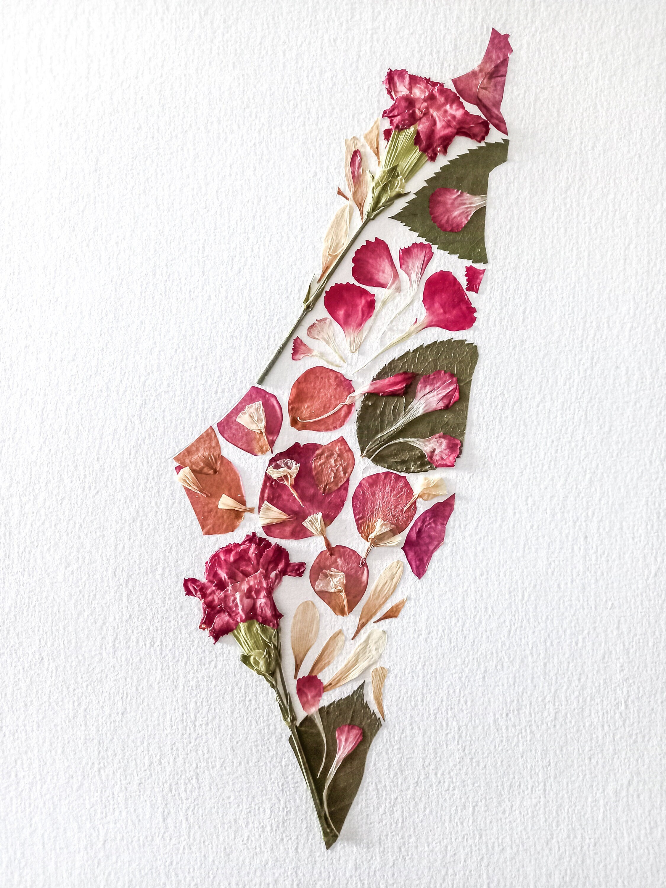Digital Download. Pressed Flower Art. A4. Carnation. Map of Palestine ...