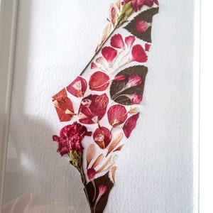 Digital Download. Pressed Flower Art. A4. Carnation. Map of Palestine ...