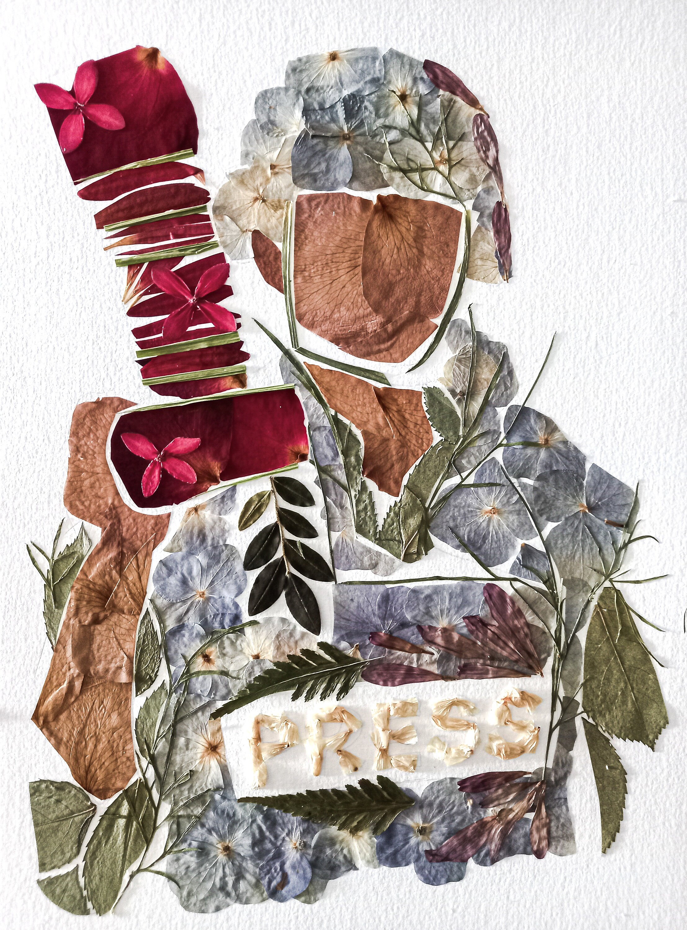 Digital Download. Pressed Flower Art. A4 Size. Photo Journalist. - Etsy