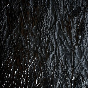 Black Jacquard Fabric, Embossed Texture Fabric, Haute Couture Fabric ...