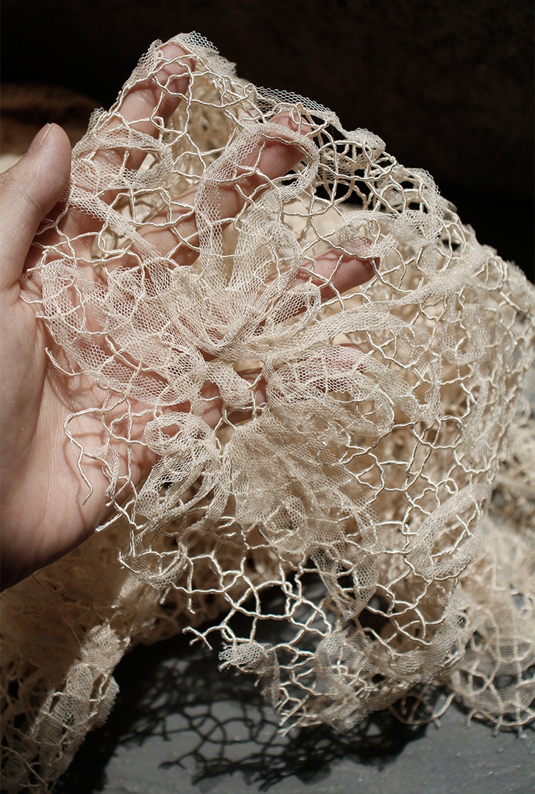 Jacquard Mesh, Embroidered Floral Fabric, Beige Hollow Mesh, See ...