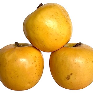 Vintage Opal Apples Plastic Fruit - Etsy