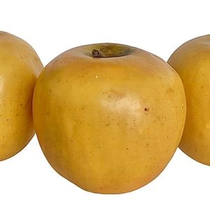 Vintage Opal Apples Plastic Fruit - Etsy