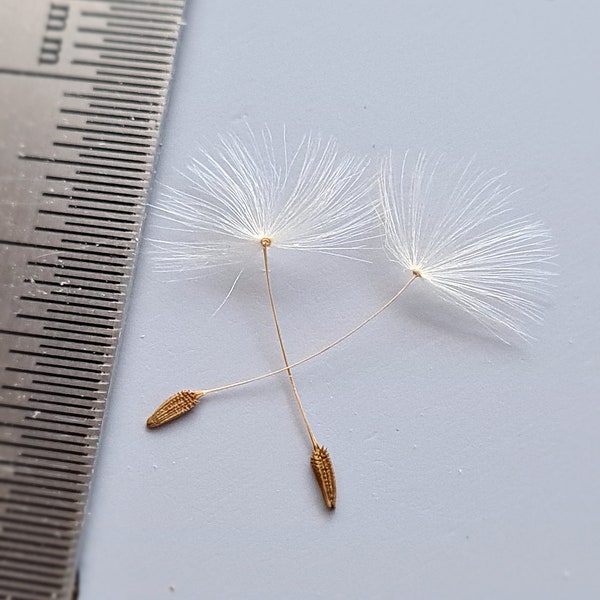 Dandelions - Etsy