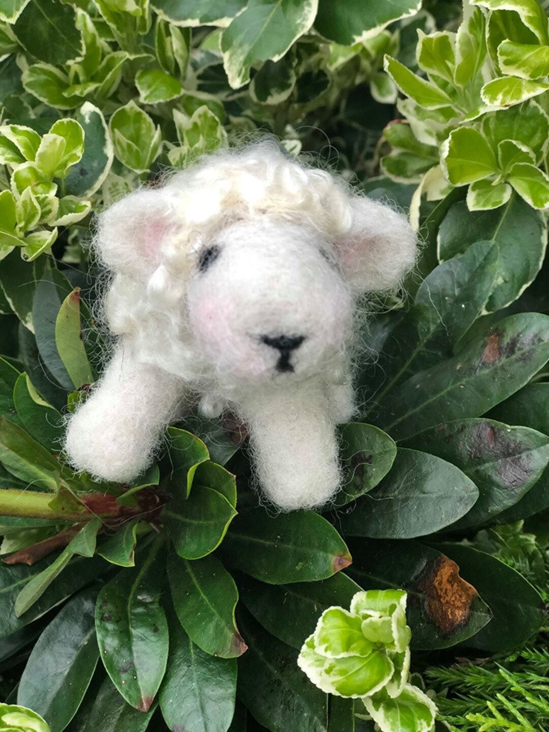 Bear the Rescued Orphan Lamb, Forever Flock, Sheep Friendly Handmade ...