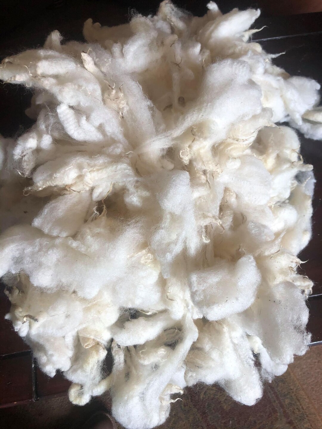 Sheepsanctuary, Raw Wool, Ethical Wool, Rescued Sheep Wool, Natural ...