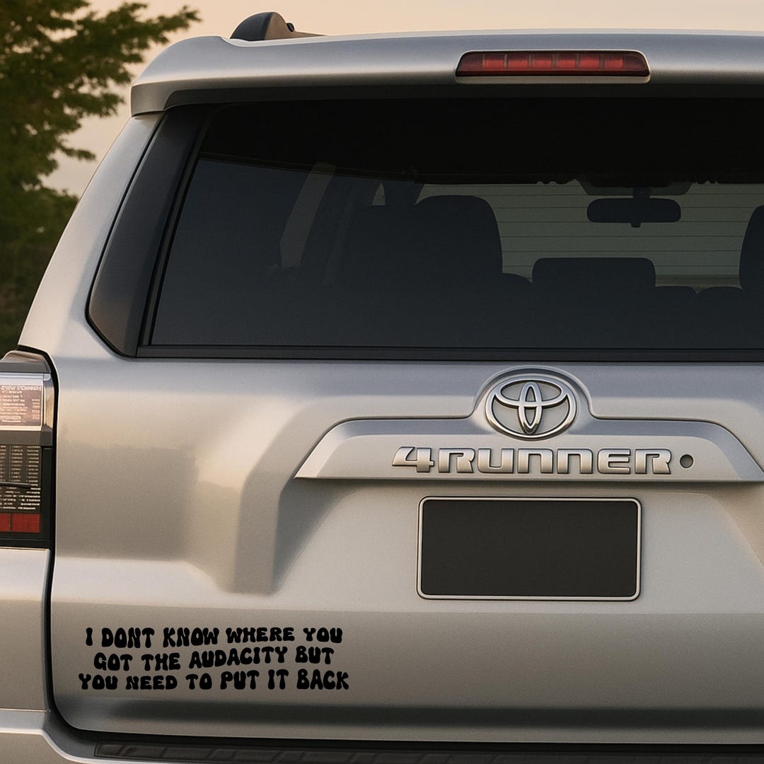 Audacity Vinyl Decal, Sarcastic Sticker, Gen Z Humor, Millennial Humor ...