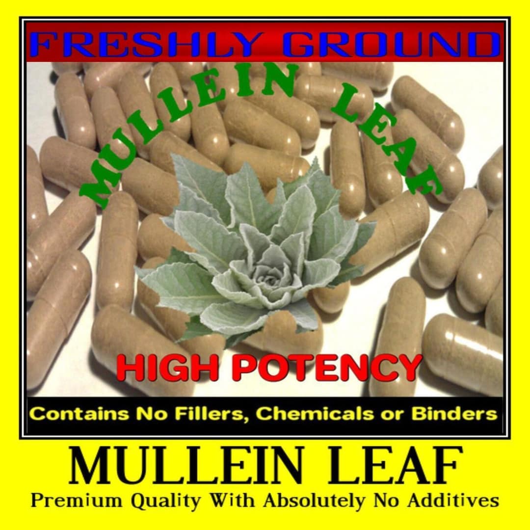 MULLEIN LEAF High Potency Fresh Ground Powder the Freshest It Can Be No ...