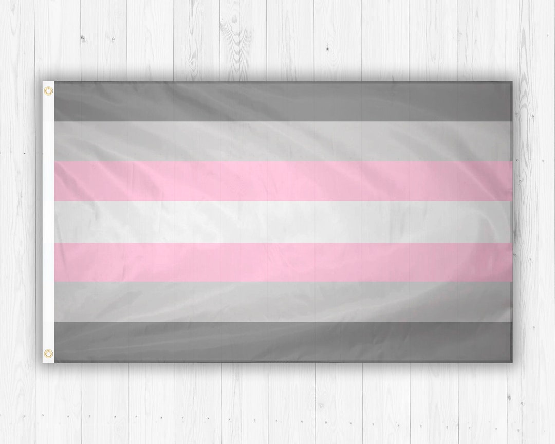 Demigirl Pride LGBT Flag 3x5 Feet - Etsy