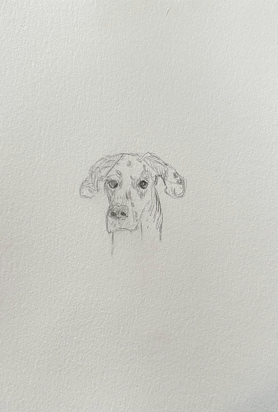Custom Watercolor Pet Portrait - Etsy