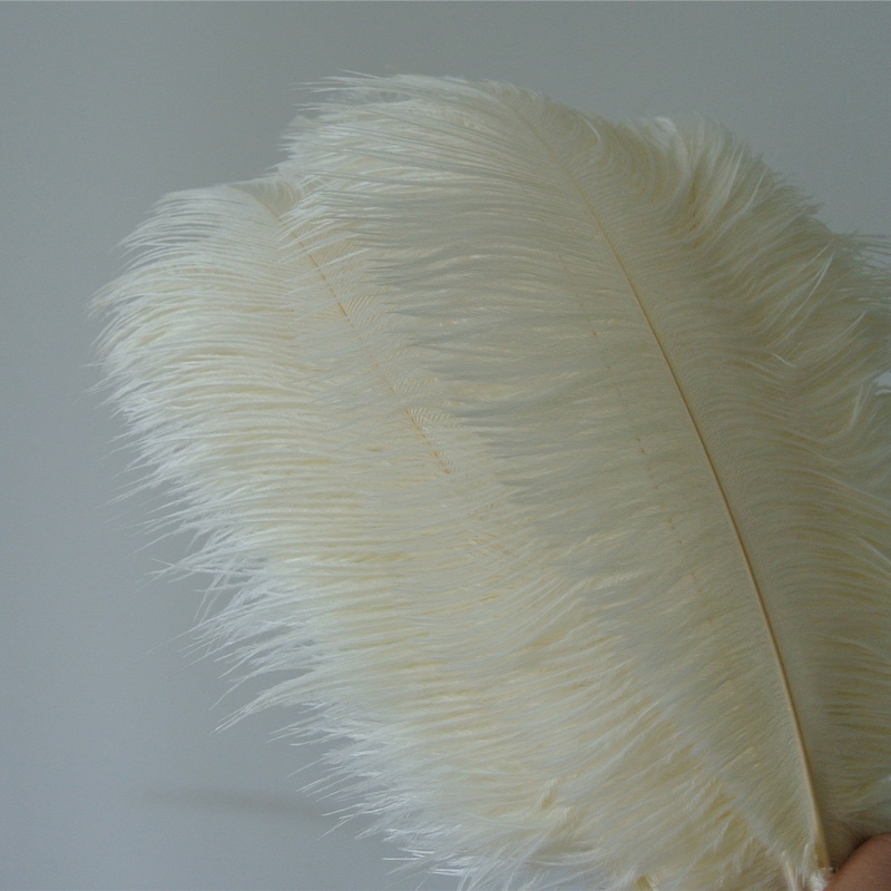Cream Ostrich Feather - Etsy