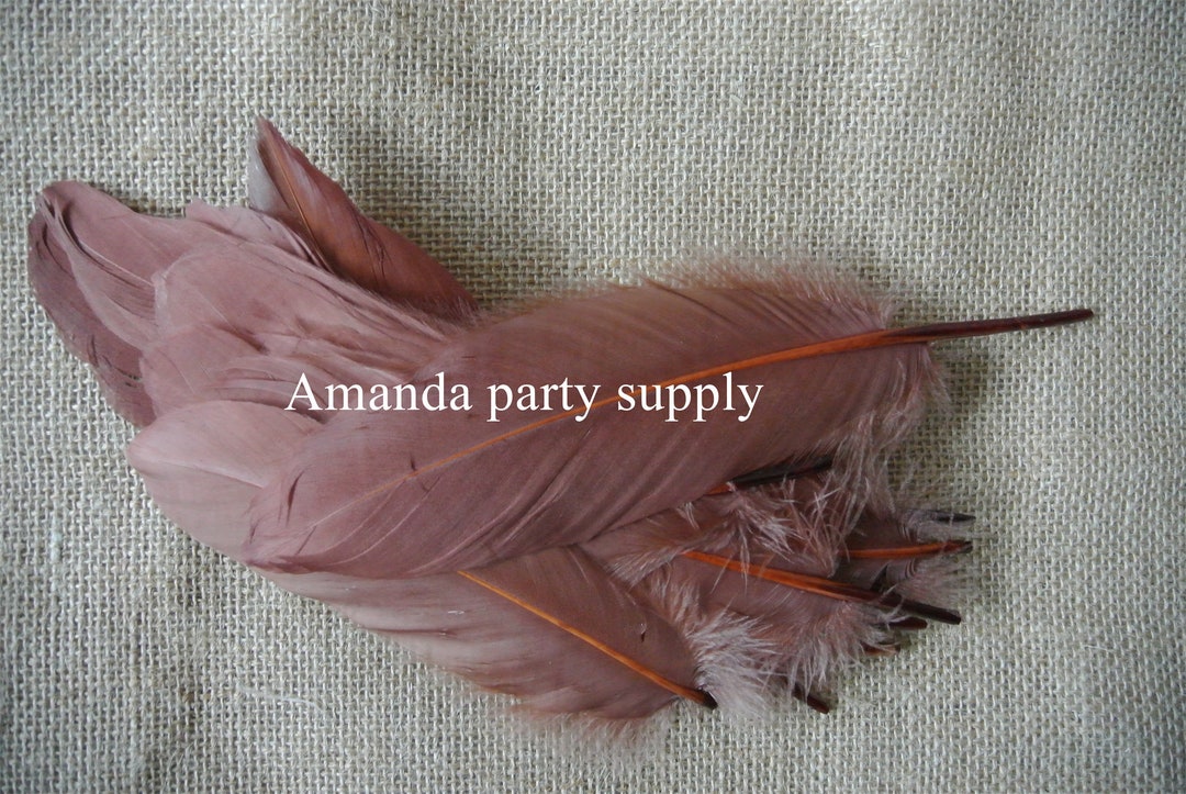 50 Pcs Dark Brown Goose Feathers Goose Round Quill Feathers 5-7inch ...