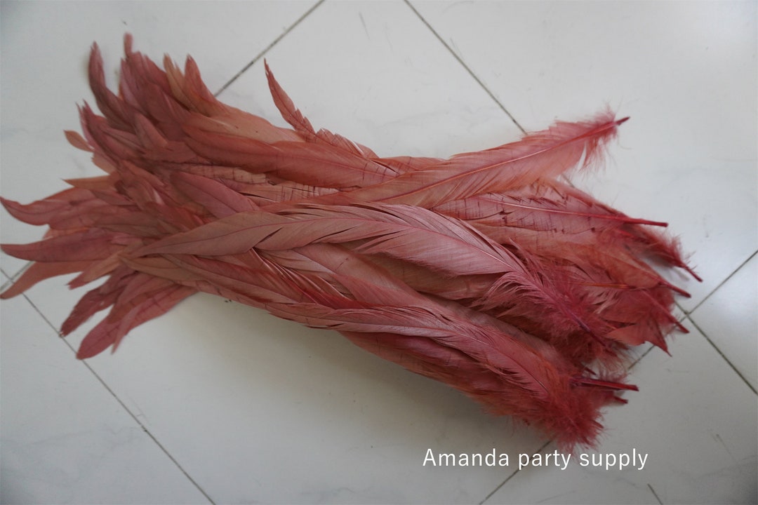 100 Pcs Rose Pink Rooster Feathers Cock Tail Feathers Loose 12 Inches ...