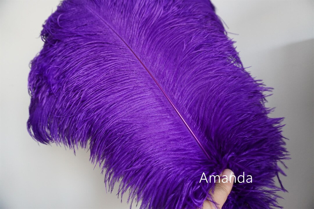 50 Pcs Purple Ostrich Feathers Plumes 5-20inches for Wedding ...