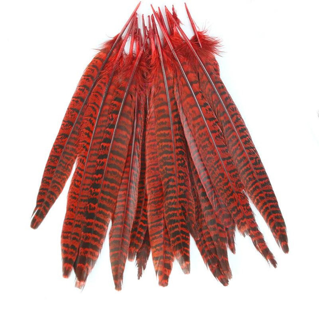 100 Pcs 10-11inch Red Ringneck Pheasant Tail Feather Pheasant Feather ...