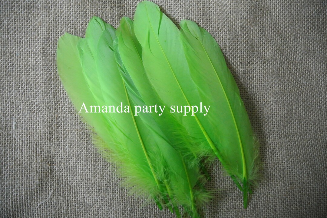 50 Pcs Lime Green Goose Feathers Goose Round Quill Feathers 5-7inch ...