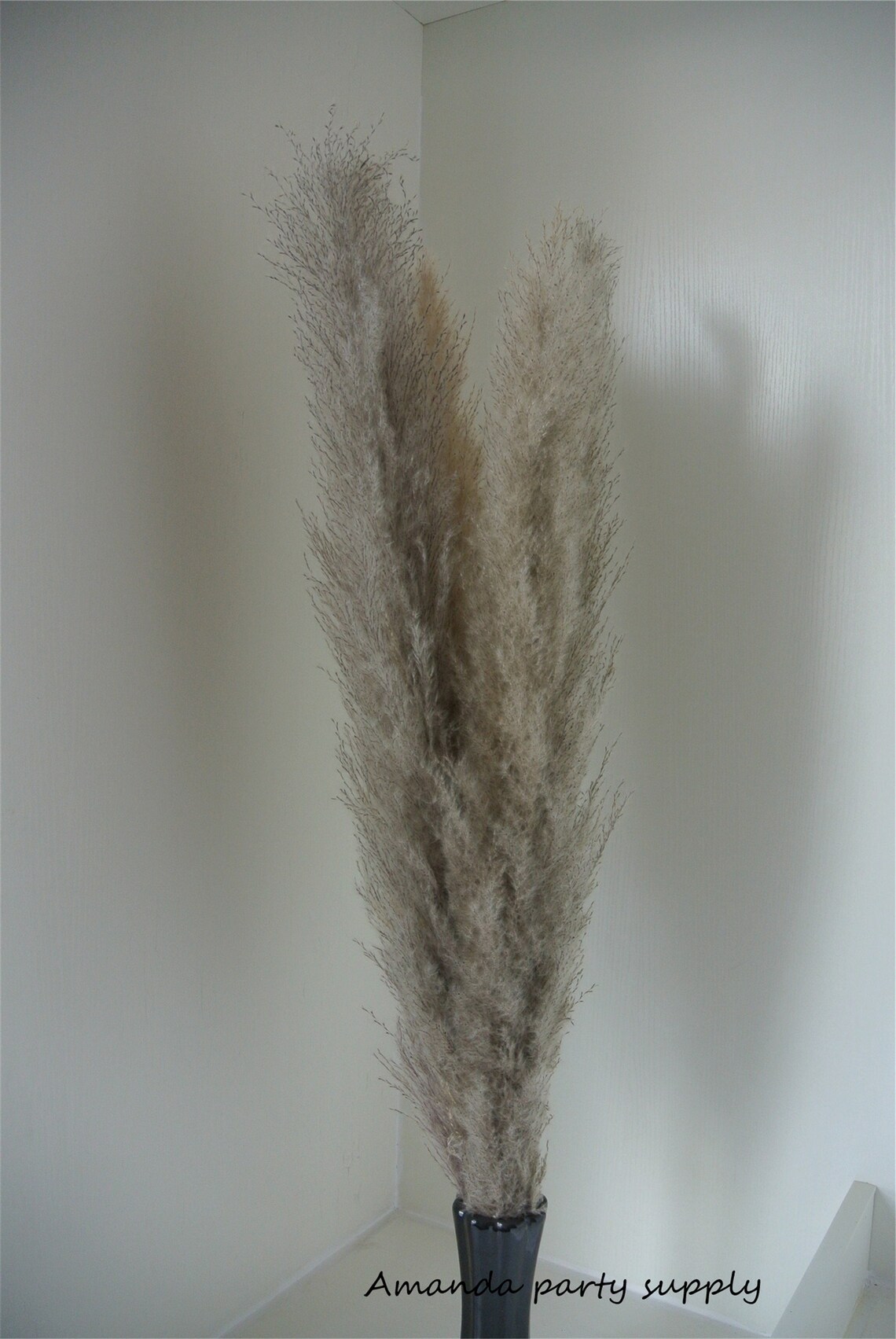 12 pcs natural color pampas grass 34inchdried pampas | Etsy