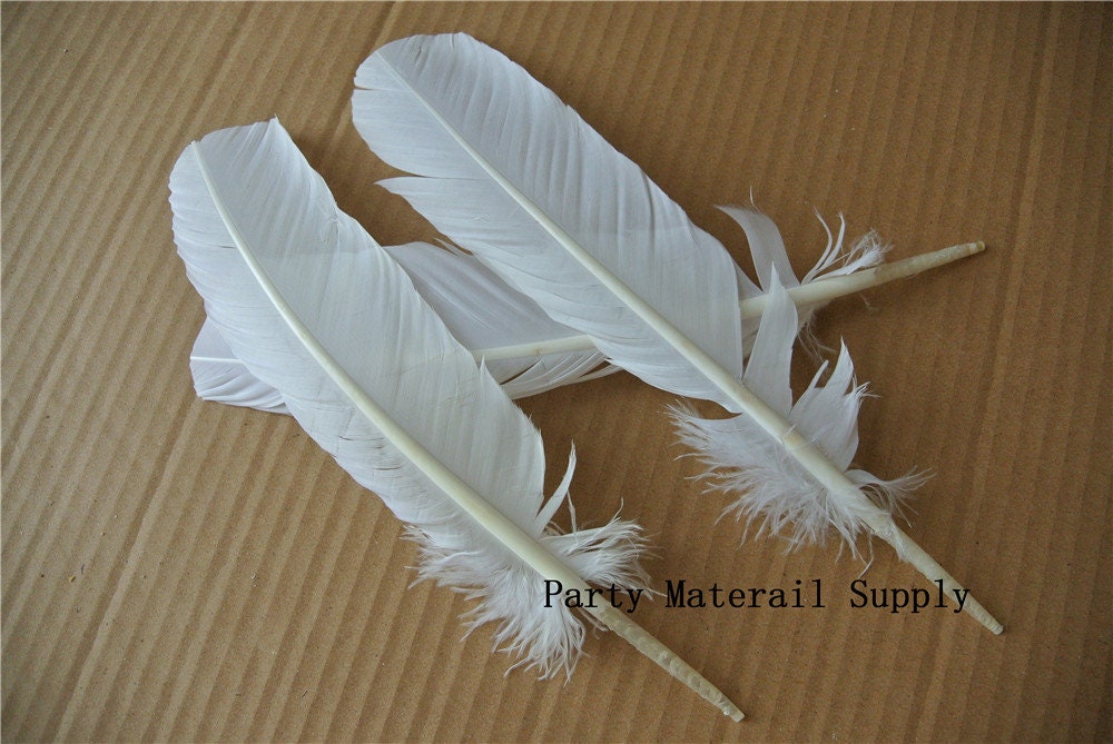 100 Pcs White Turkey Feathers Turkey Round Quill Feathers 12inch Long ...
